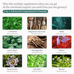 whole food multivitamin for daily wellness