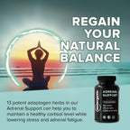 whole food multivitamin for daily wellness