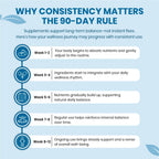 whole food multivitamin for daily wellness