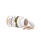 whole food multivitamin for daily wellness