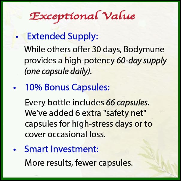 whole food multivitamin for daily wellness