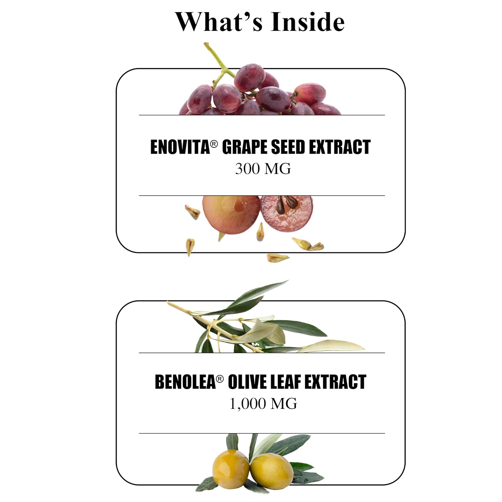 Whole food multivitamin for daily wellness