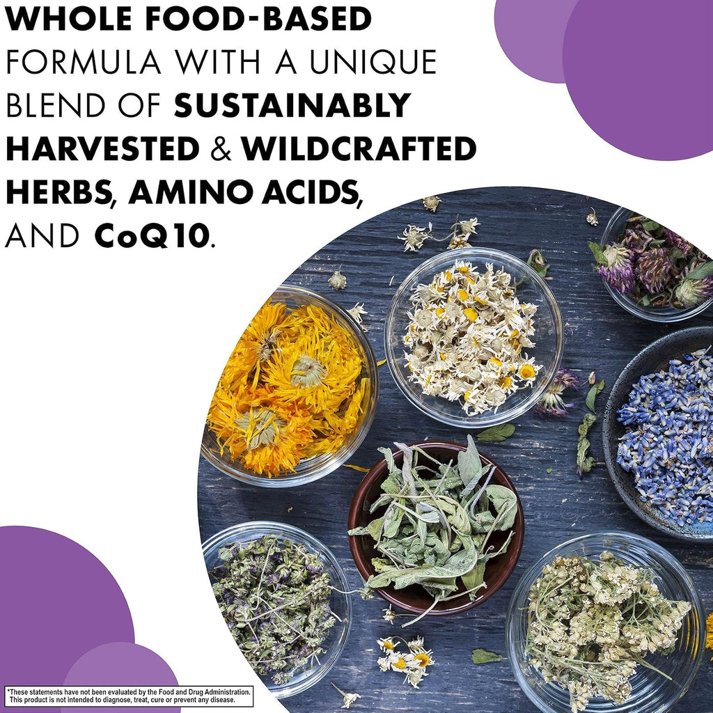whole food multivitamin for daily wellness