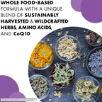 whole food multivitamin for daily wellness