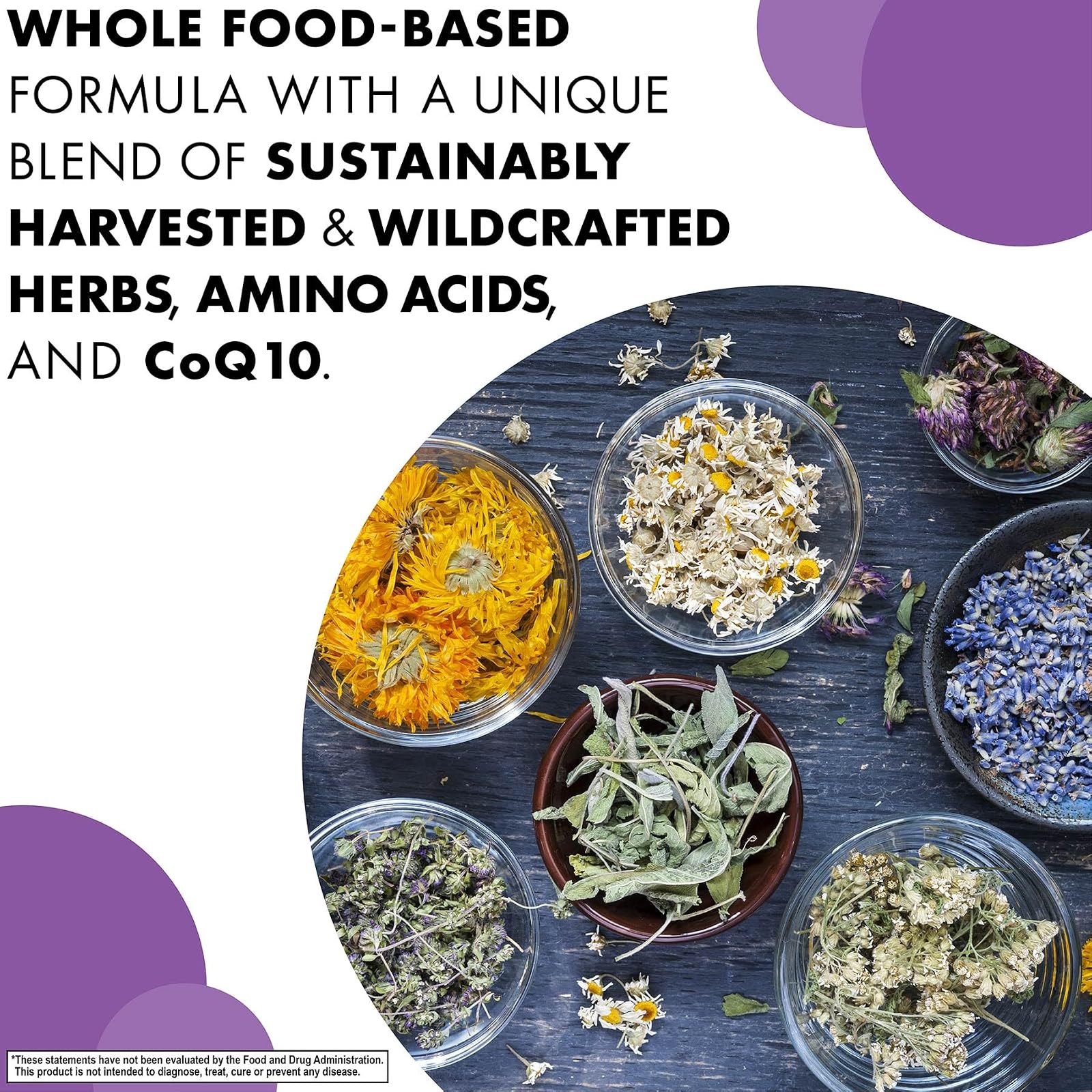 whole food multivitamin for daily wellness
