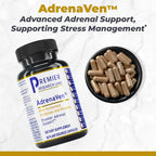 whole food multivitamin for daily wellness