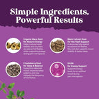 whole food multivitamin for daily wellness