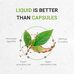 whole food multivitamin for daily wellness