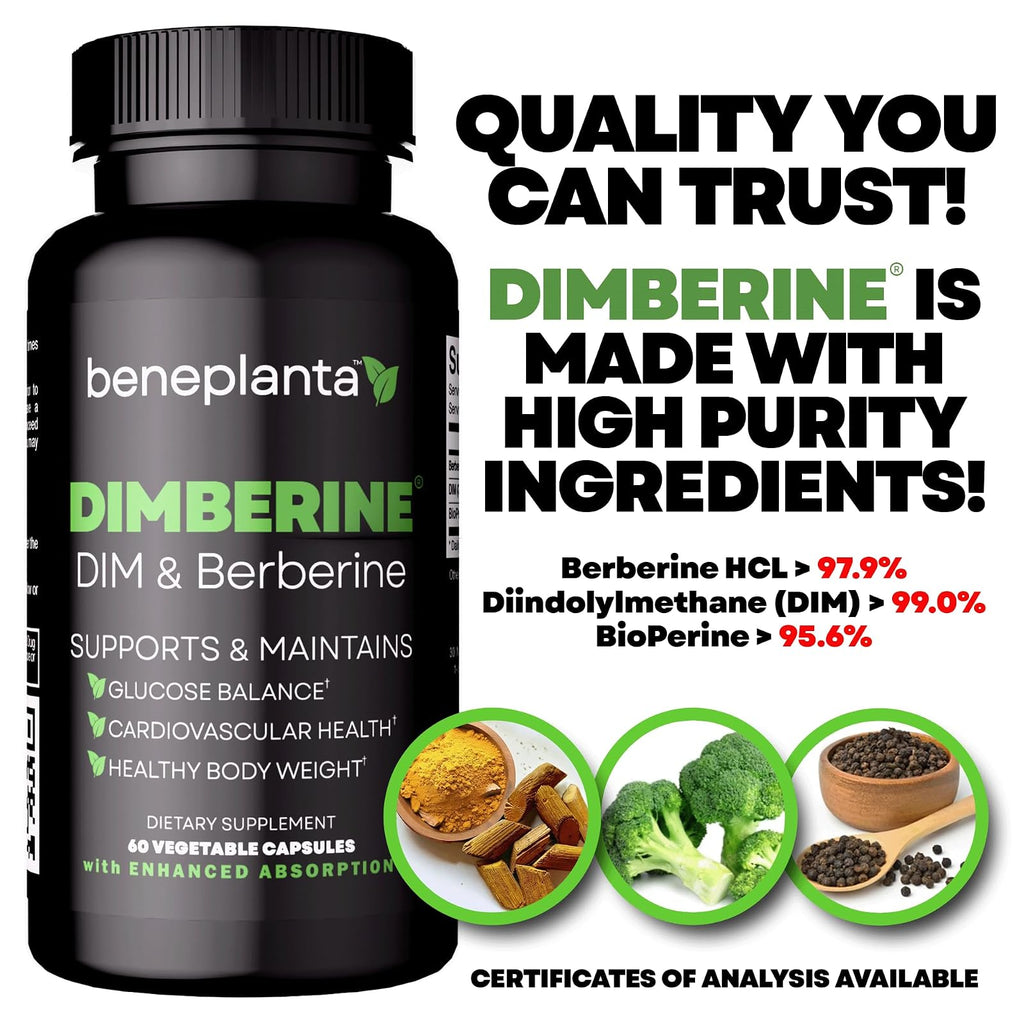 whole food multivitamin for daily wellness