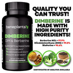 whole food multivitamin for daily wellness
