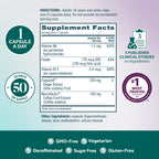 whole food multivitamin for daily wellness