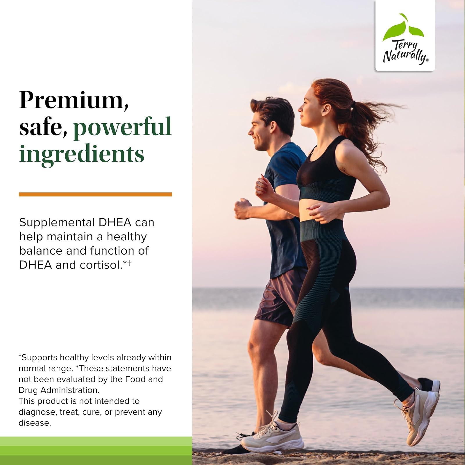whole food multivitamin for daily wellness