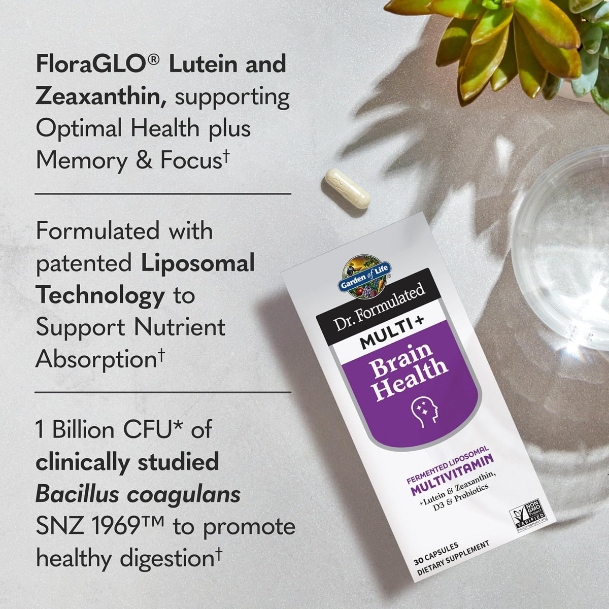 whole food multivitamin for daily wellness