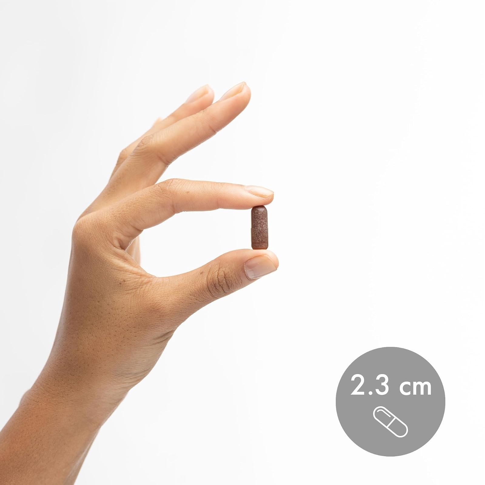 whole food multivitamin for daily wellness