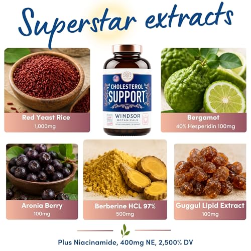 whole food multivitamin for daily wellness