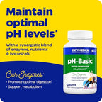 whole food multivitamin for daily wellness