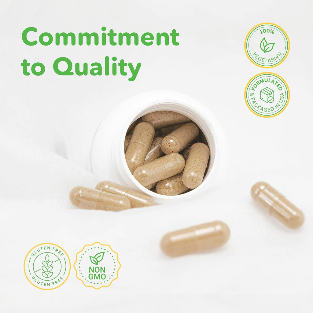 whole food multivitamin for daily wellness