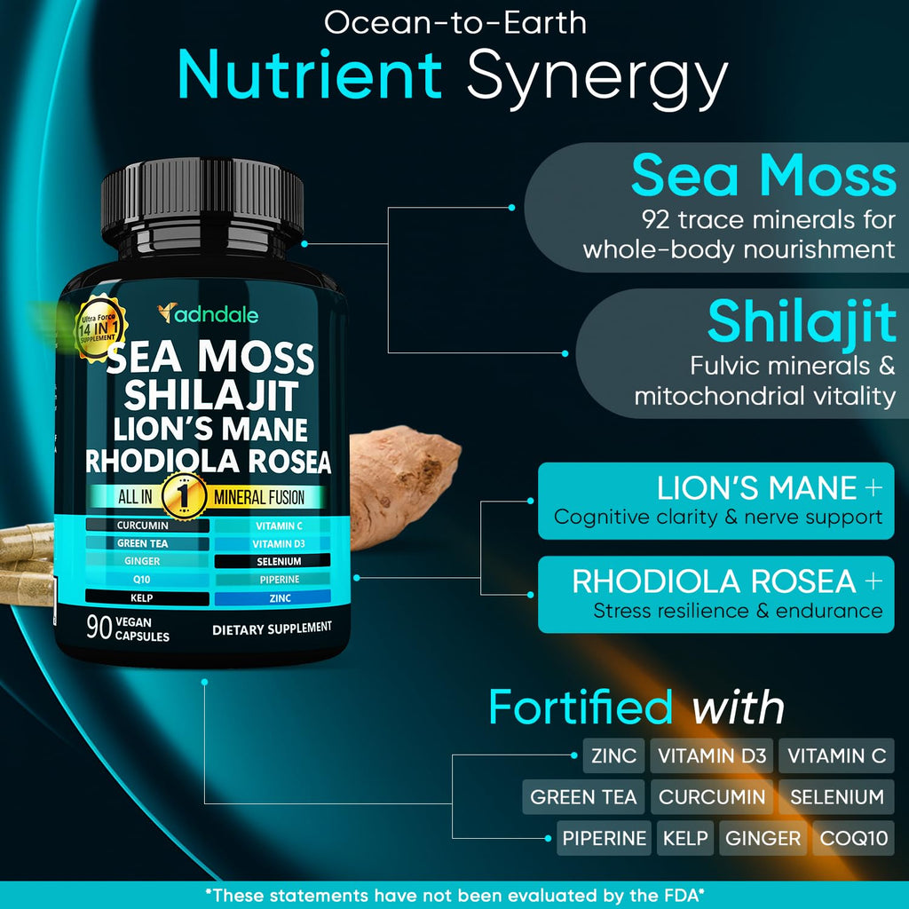 whole food multivitamin for energy boost