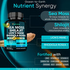 whole food multivitamin for energy boost