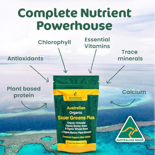 whole food multivitamin for energy boost
