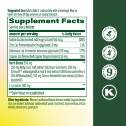 whole food multivitamin for energy support