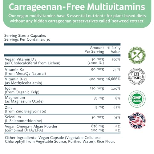 whole food multivitamin for energy