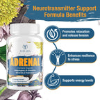 whole food multivitamin for energy