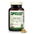 whole food multivitamin for energy