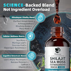 whole food multivitamin for energy