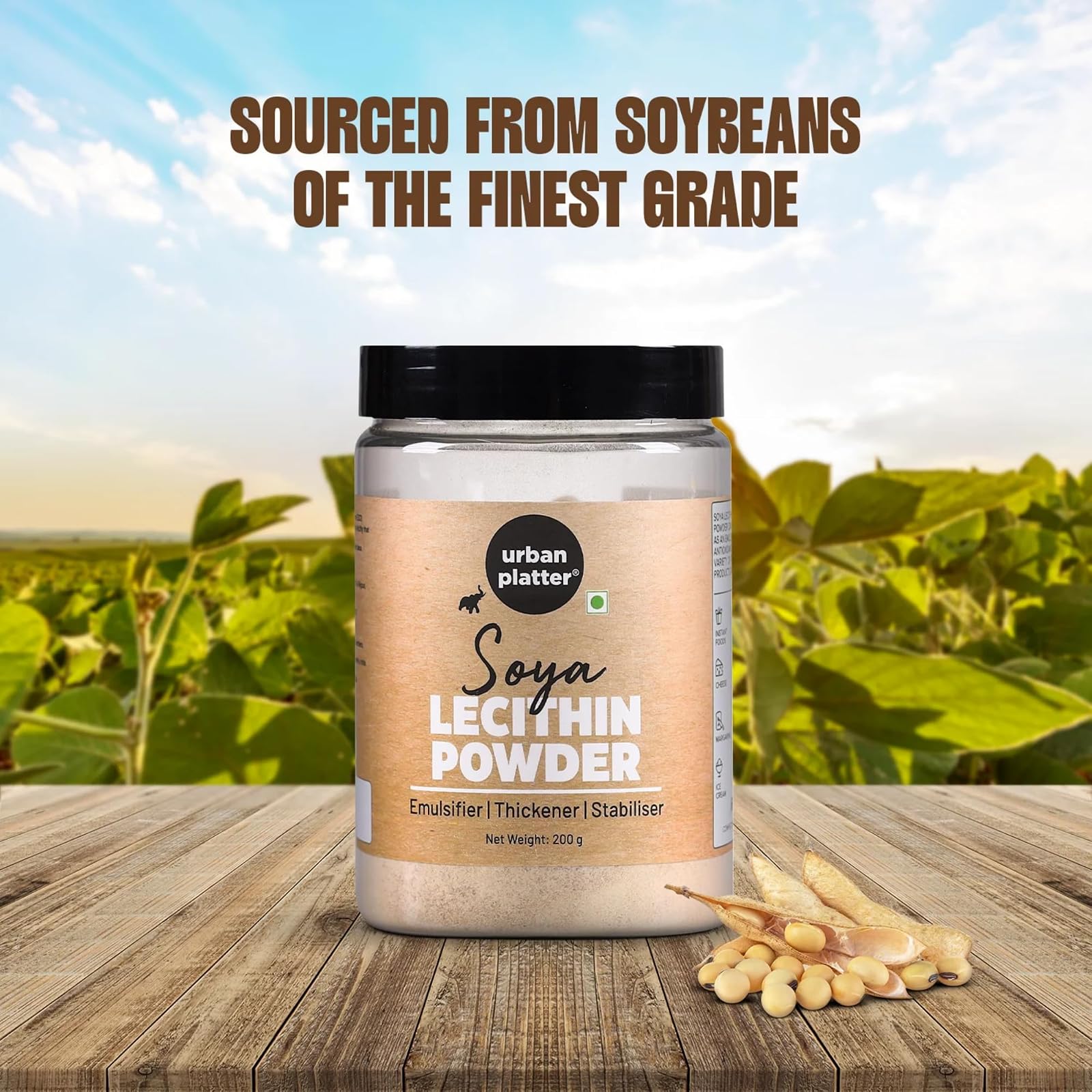 whole food multivitamin for energy