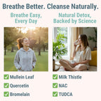 whole food multivitamin for energy