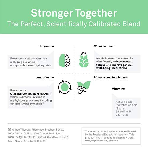 whole food multivitamin for energy