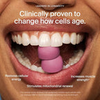 whole food multivitamin for energy