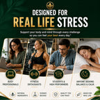 whole food multivitamin for energy