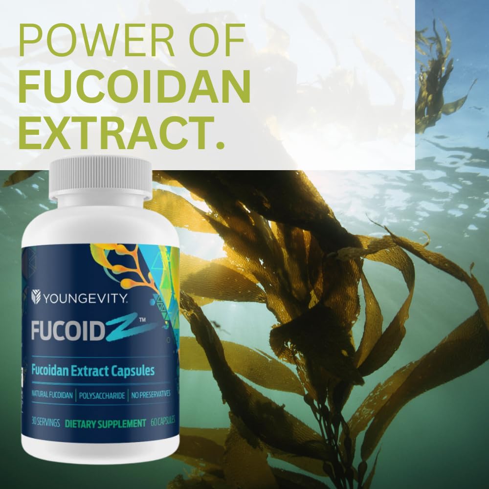 whole food multivitamin for energy