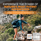 whole food multivitamin for energy