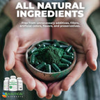 whole food multivitamin for energy