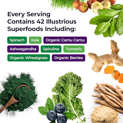 whole food multivitamin for energy