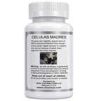 whole food multivitamin for energy