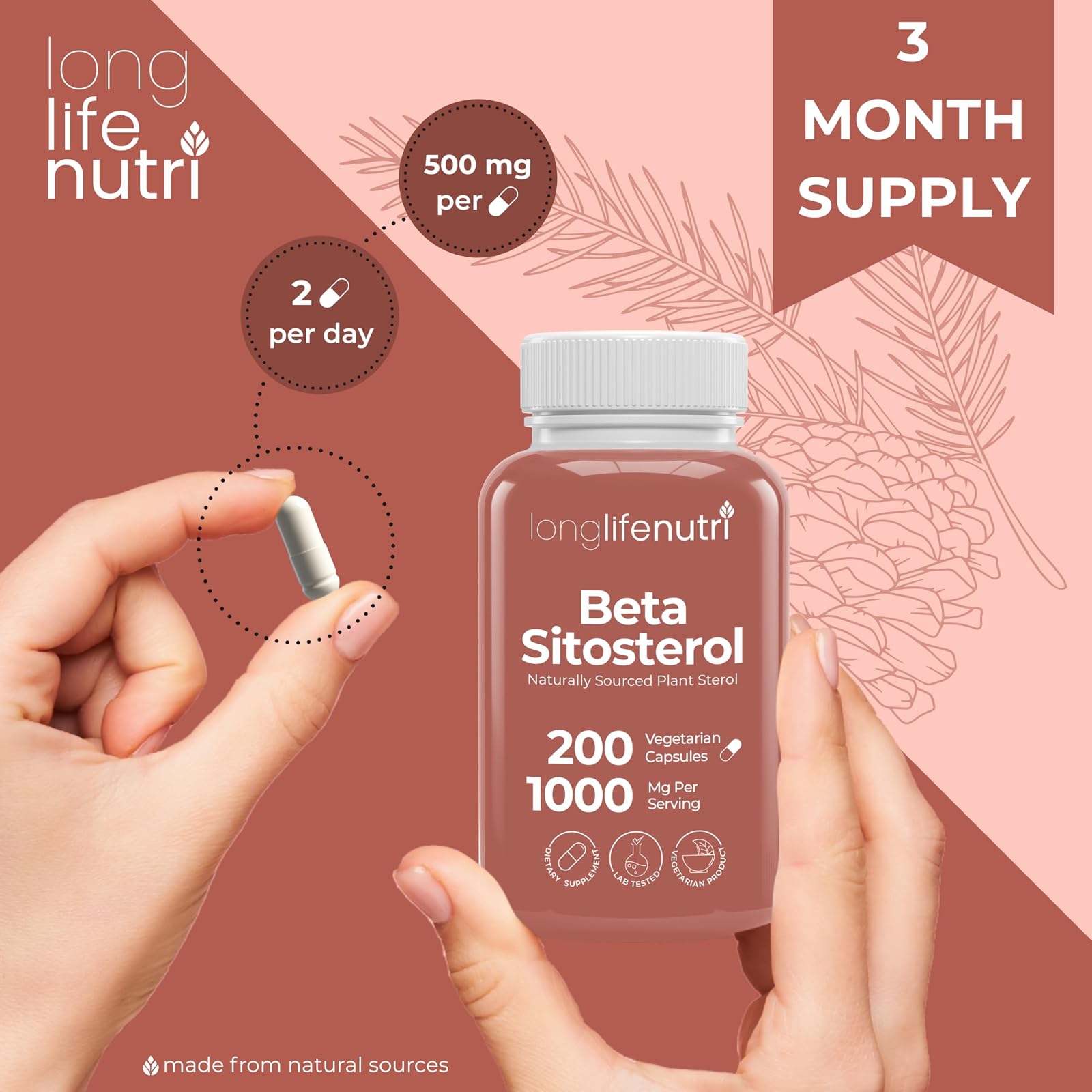 whole food multivitamin for energy