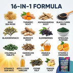 whole food multivitamin for energy
