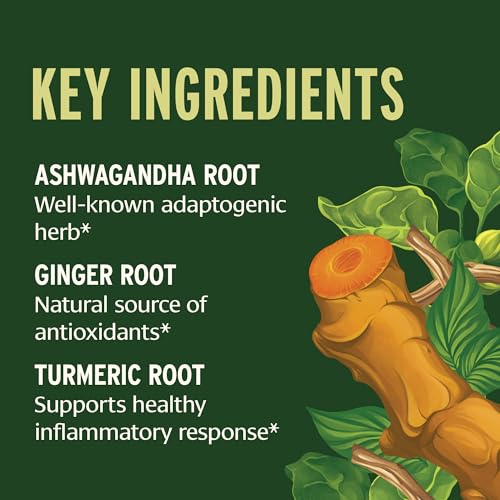 whole food multivitamin for energy