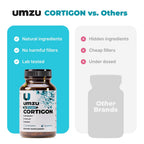 whole food multivitamin for energy
