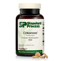 whole food multivitamin for energy