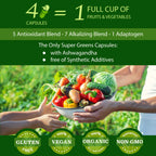 whole food multivitamin for energy