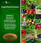 whole food multivitamin for energy