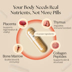 whole food multivitamin for energy