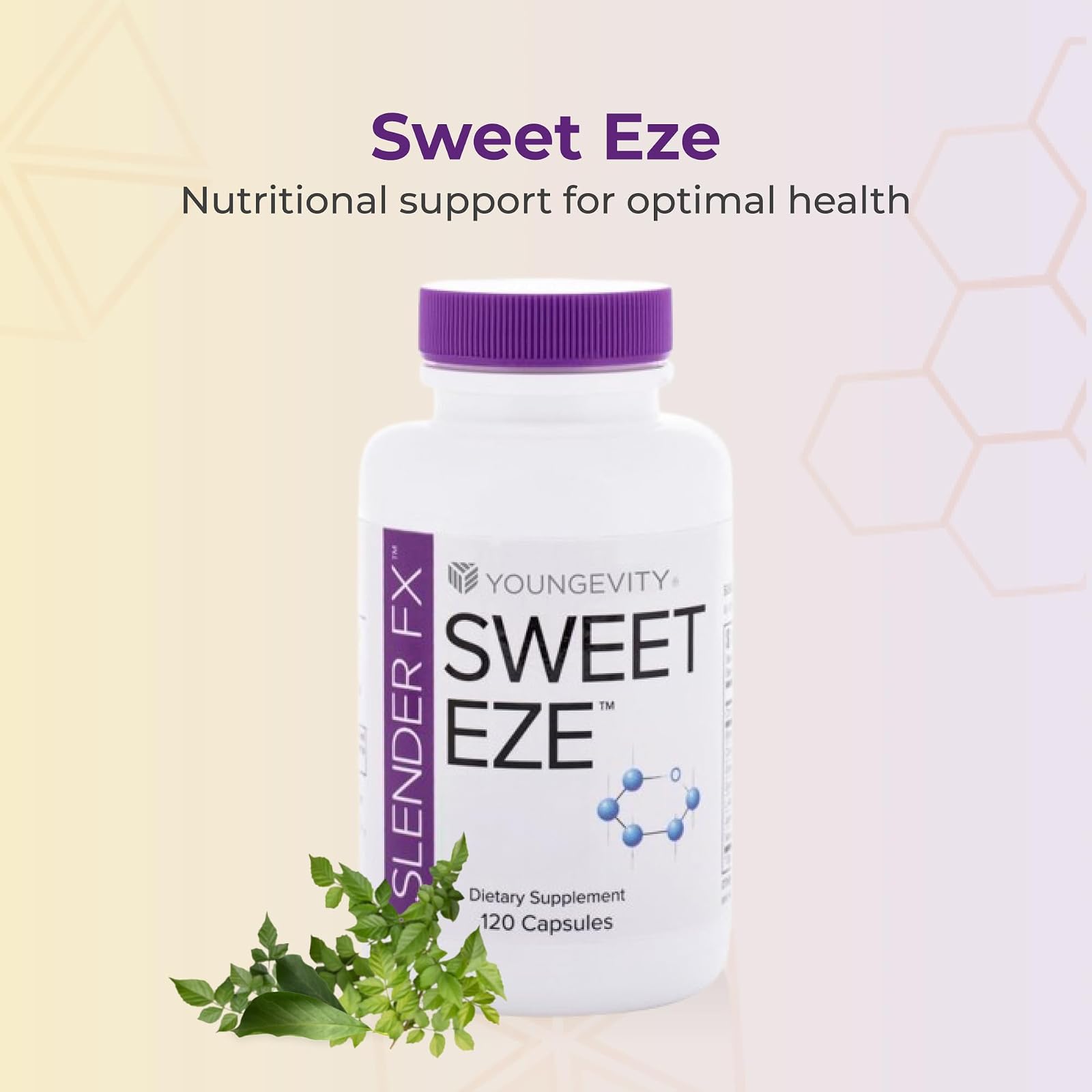 whole food multivitamin for energy