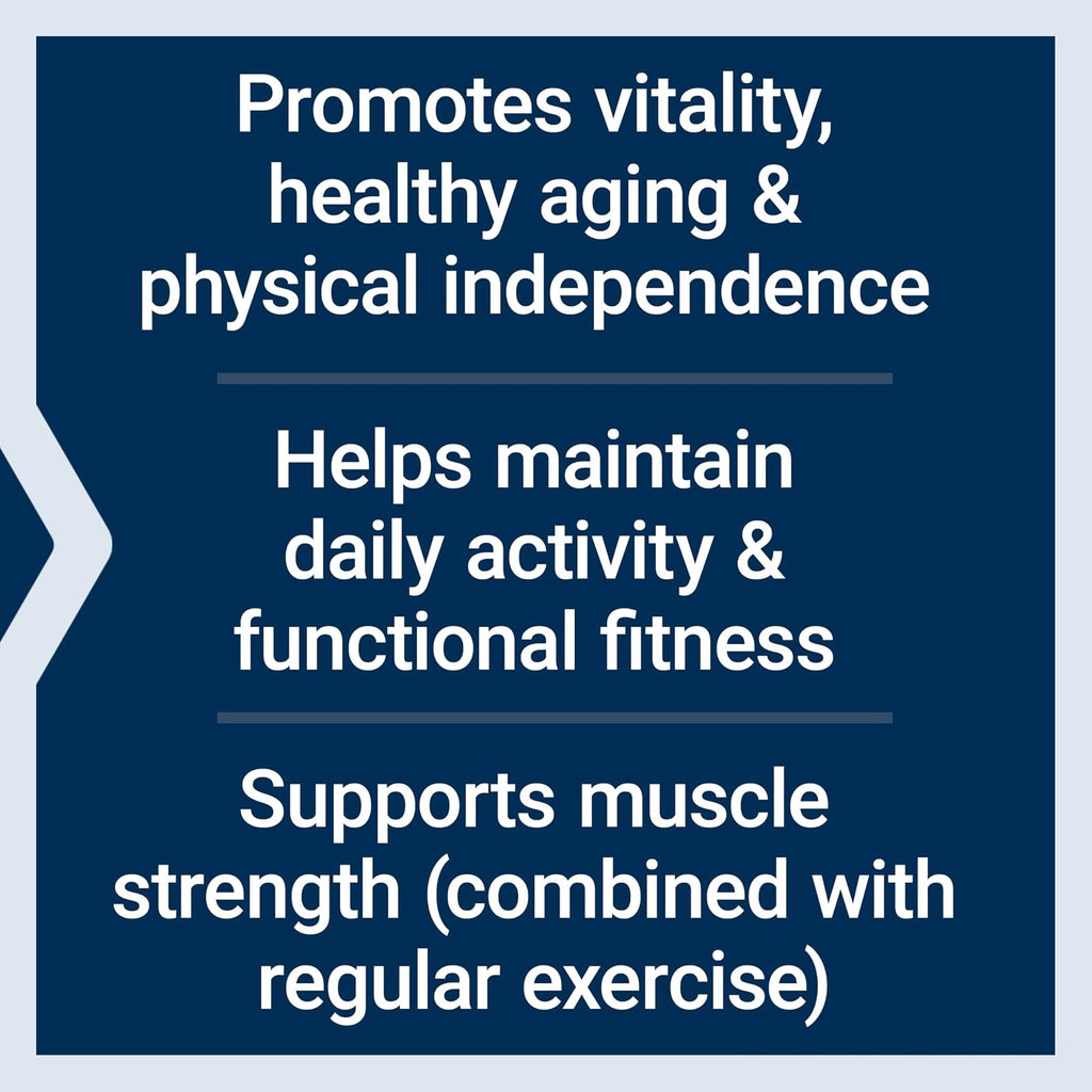 whole food multivitamin for energy