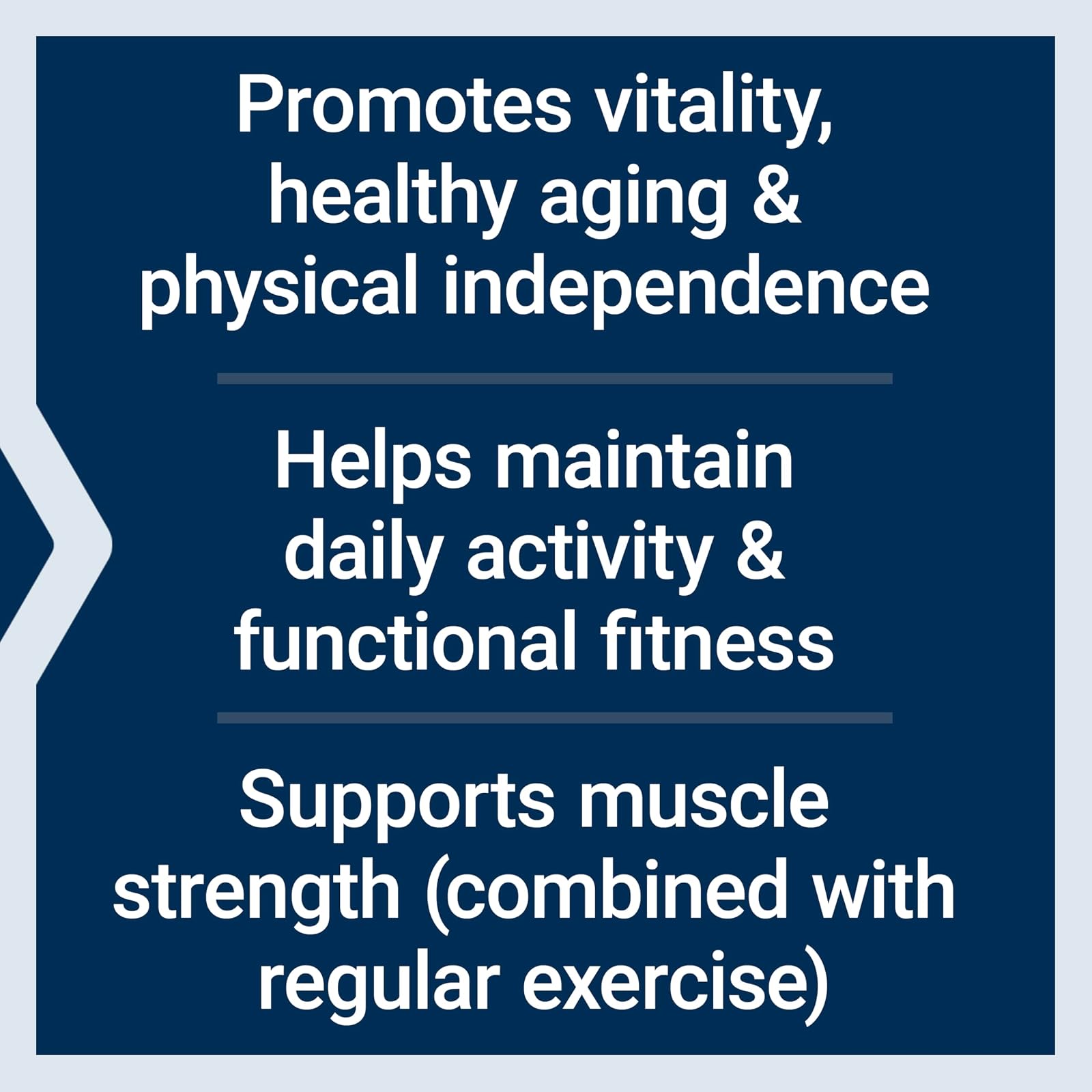 whole food multivitamin for energy